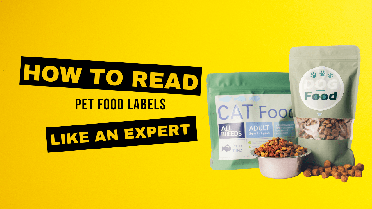 AnimealHow to Read Pet Food Labels Like an Expert
