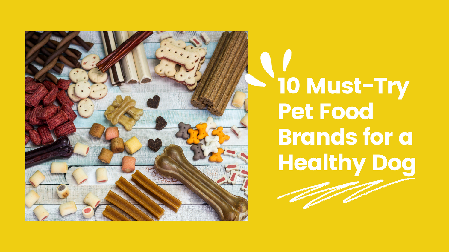 Animeal10 Must-Try Pet Food Brands for a Healthy Dog