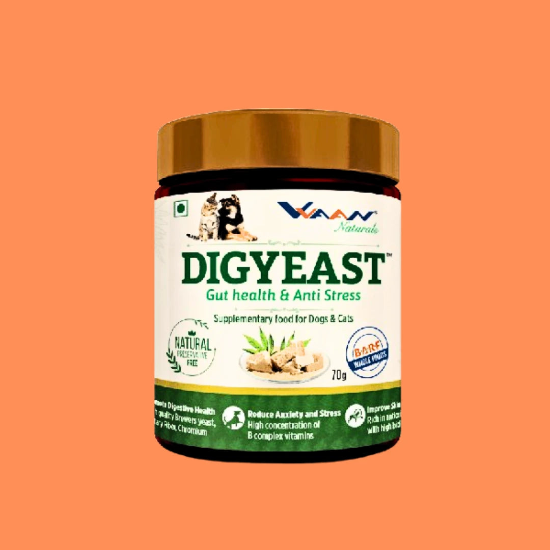 AnimealIntestinal & Digestive supplements For Dogs