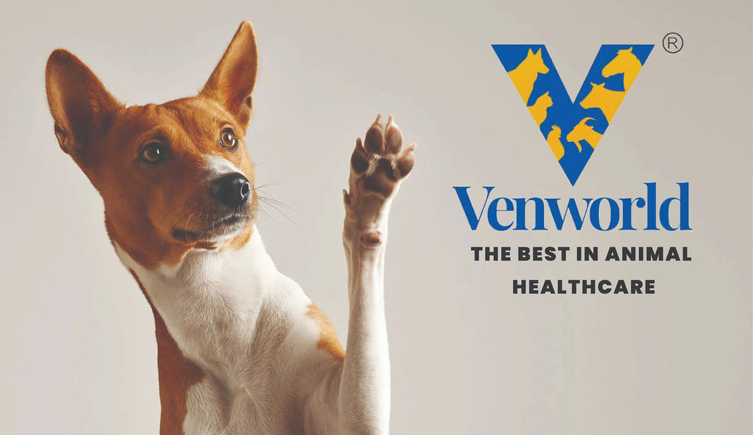 AnimealTHROMB BEAT SYRUP - Upto 15% Off - Animeal