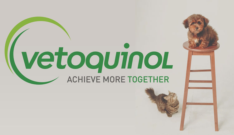 AnimealDERMICHLOR SPRAY - Upto 15% Off - Animeal