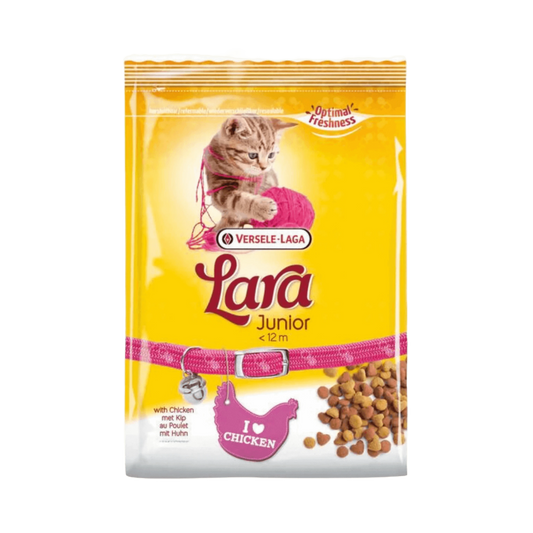 Lara Collection - Animeal: Discover Unique Styles | 12% Off | Mumbai