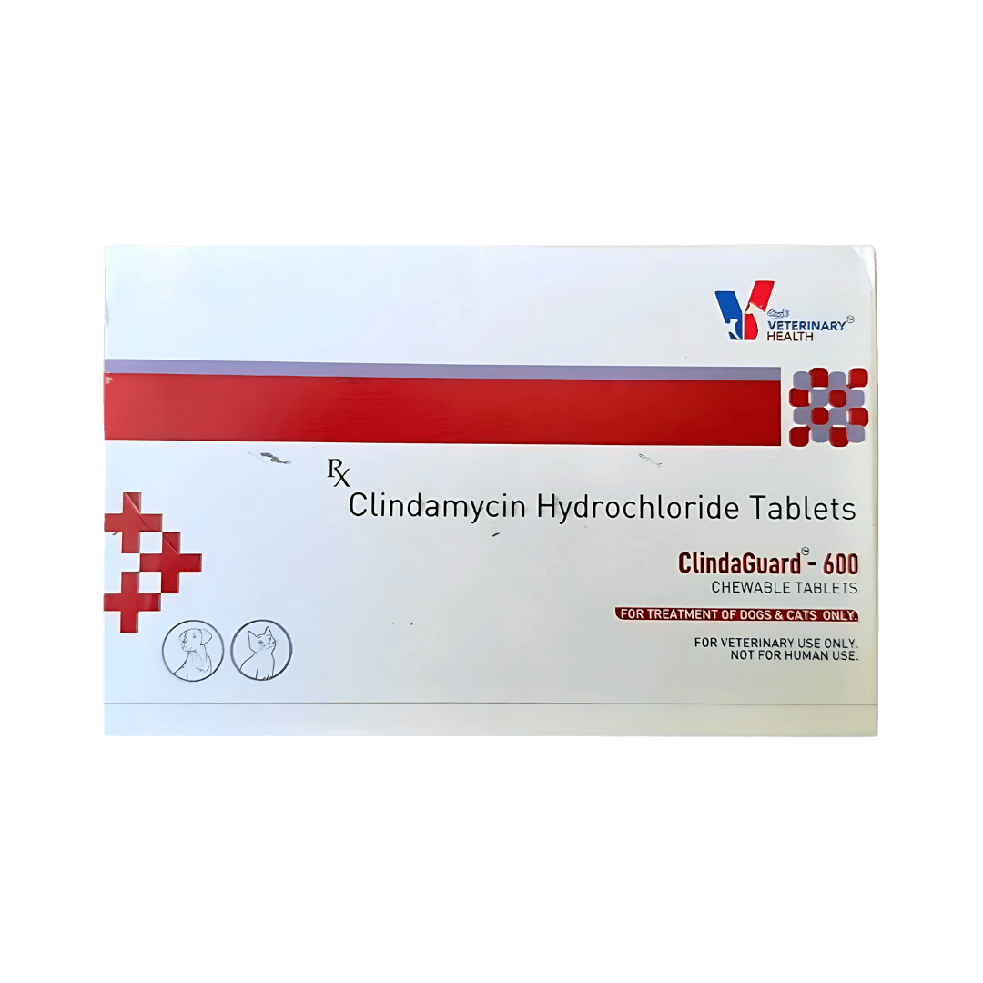 AnimealCLINDAGUARD 300MG TABLET - Upto 15% Off - Animeal