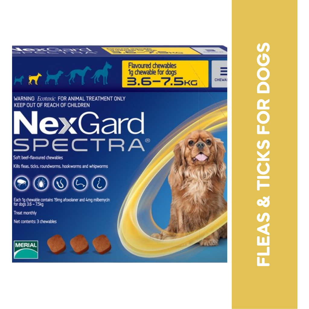 AnimealNEXGARD SPECTRA (S) (3.5KG-7.5KG) - Upto 15% Off