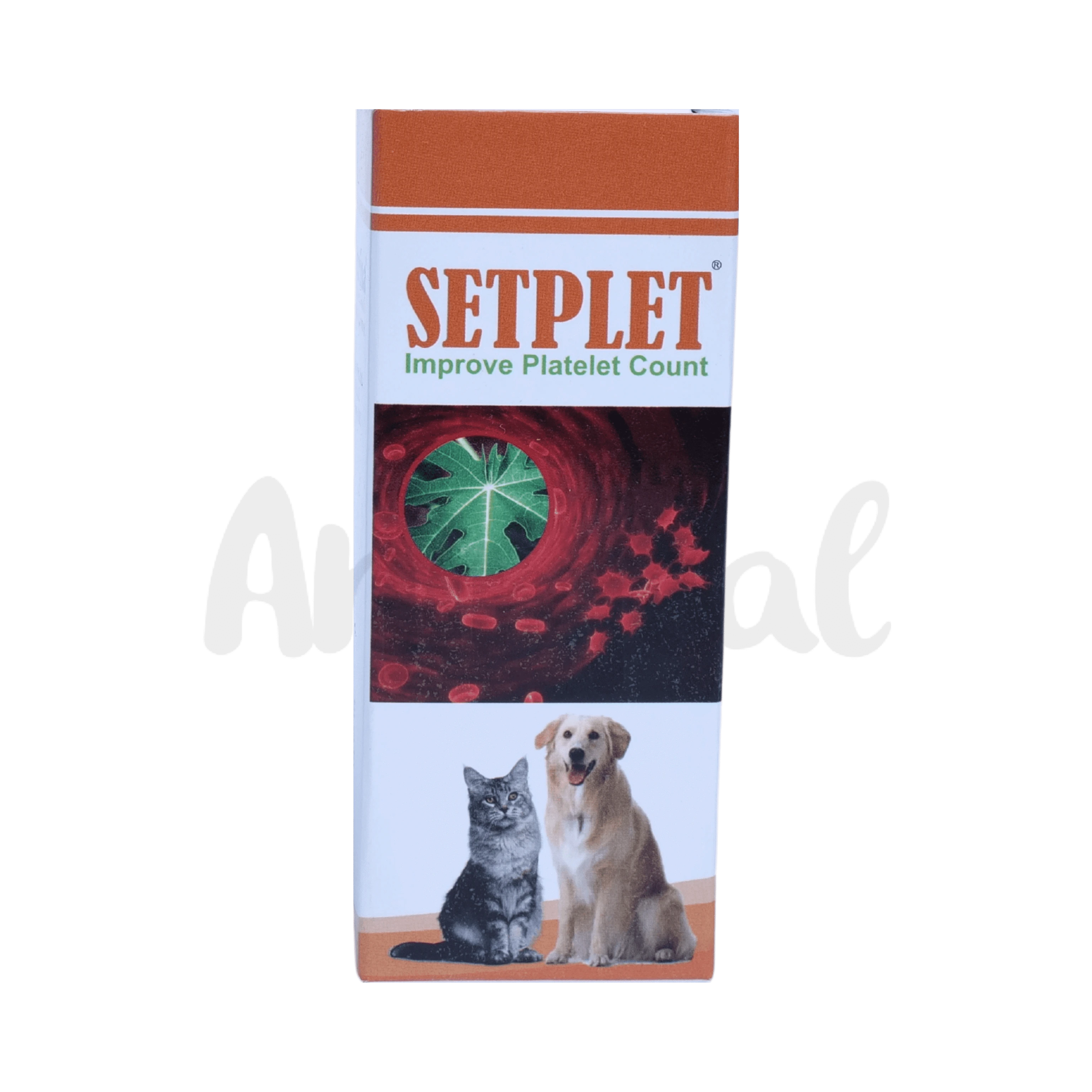 AnimealSETPLET SYRUP - Upto 15% Off - Animeal